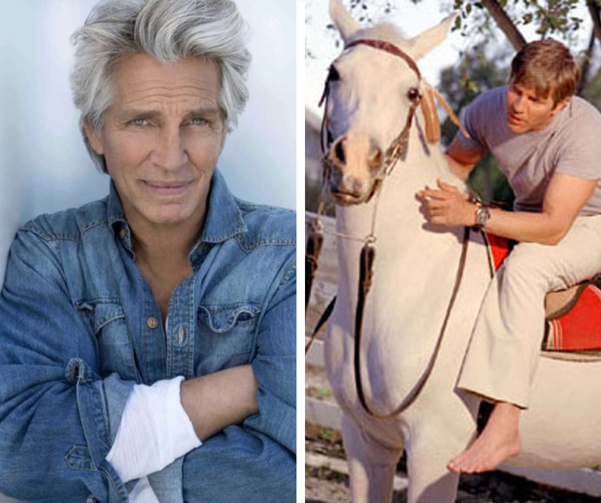 Stories - Horses for Mental Health