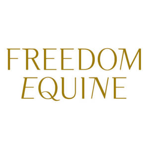 Seen Through Horses Campaign - Horses for Mental Health