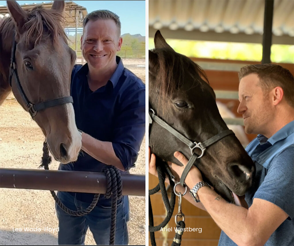 Stories - Horses for Mental Health