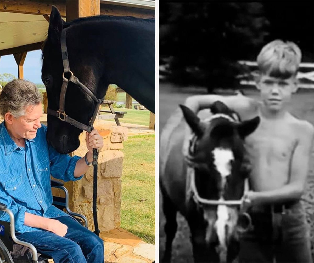 Stories - Horses for Mental Health