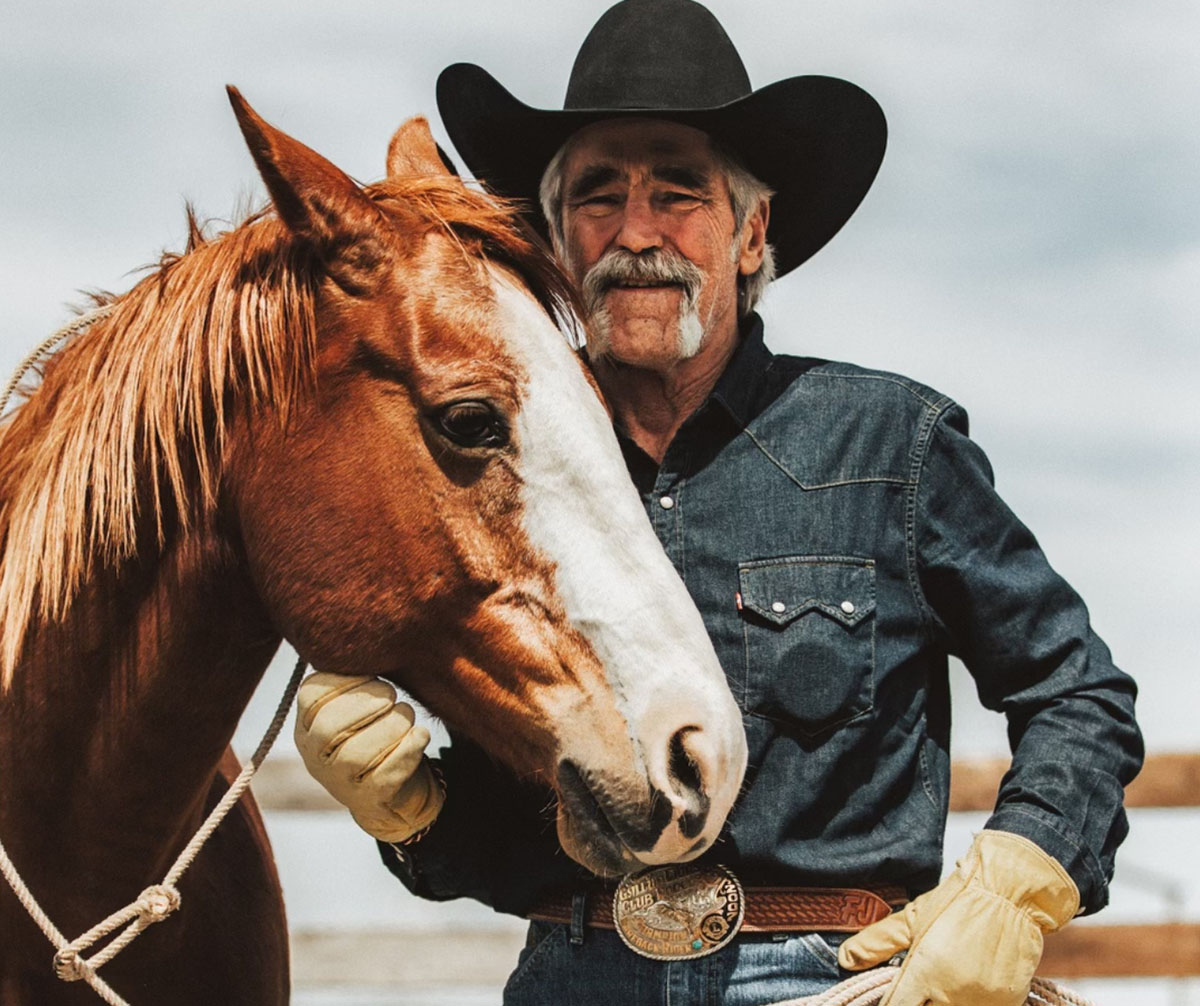 Stories - Horses for Mental Health