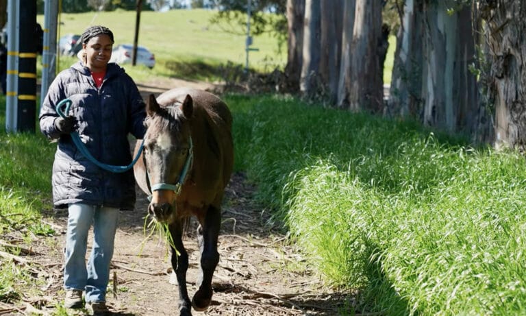 Seen Through Horses Campaign - Horses for Mental Health
