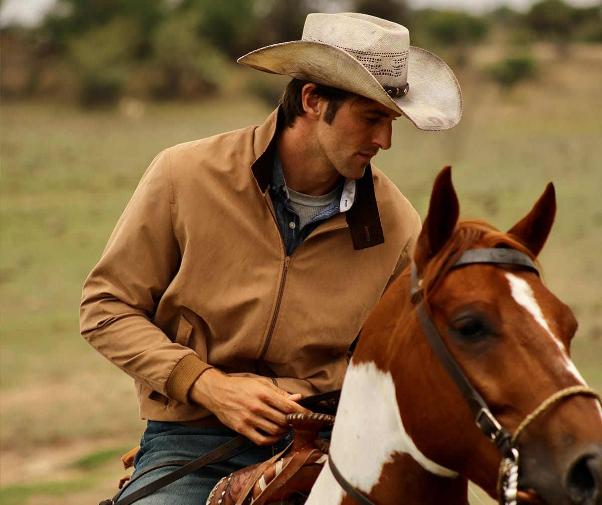 Stories - Horses for Mental Health