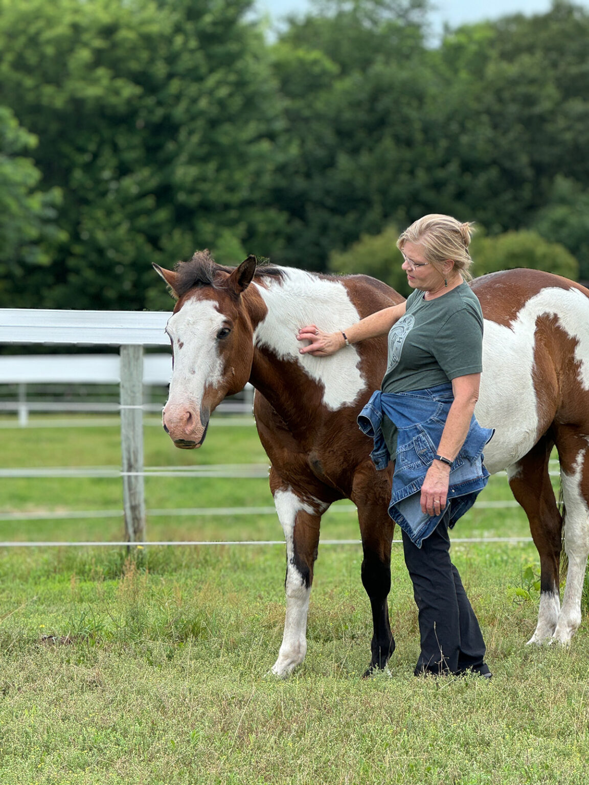 Equine-Assisted Mental Health Services Near You - Horses for Mental Health