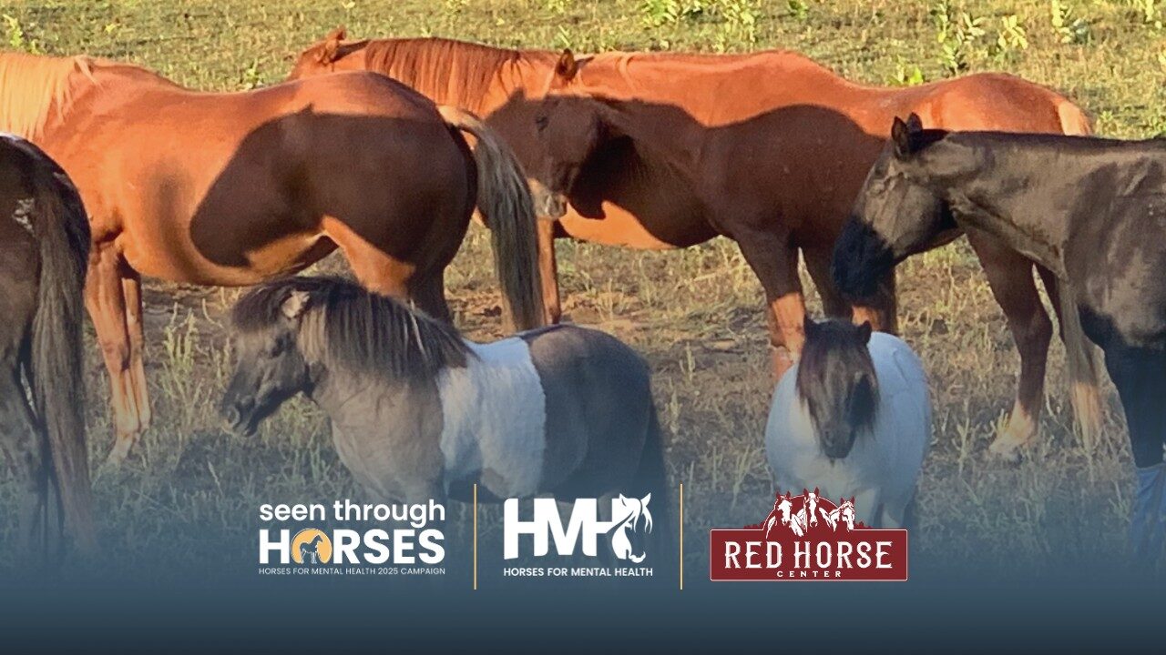 A Walking Path of Transformation: Red Horse Center - Horses for Mental ...